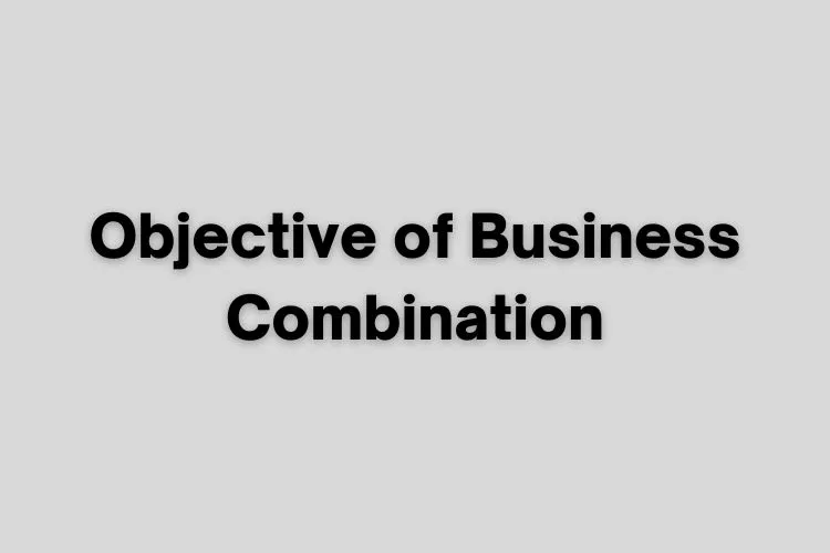 Business Combinations Types Examples Horizontal Vertical